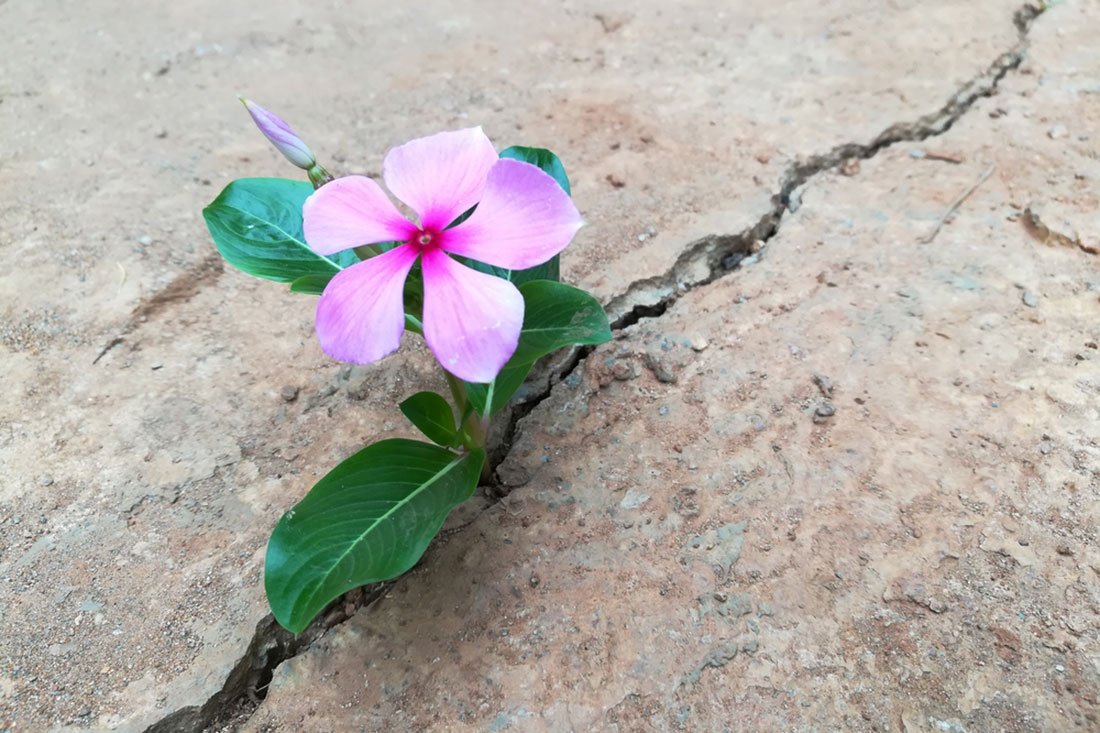 What Real Resilience Means For An Entrepreneur SUCCESS what-real-resilience-means-for-an-entrepreneur-success